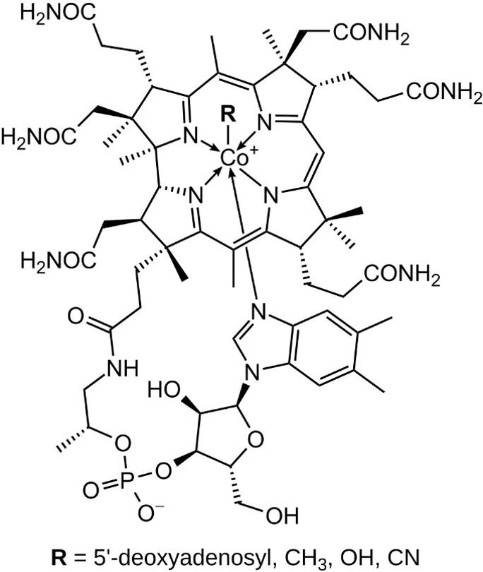 CCS Chemistry 丨Issue 10丨Editorial: Synthesis of molecules is one of the ...